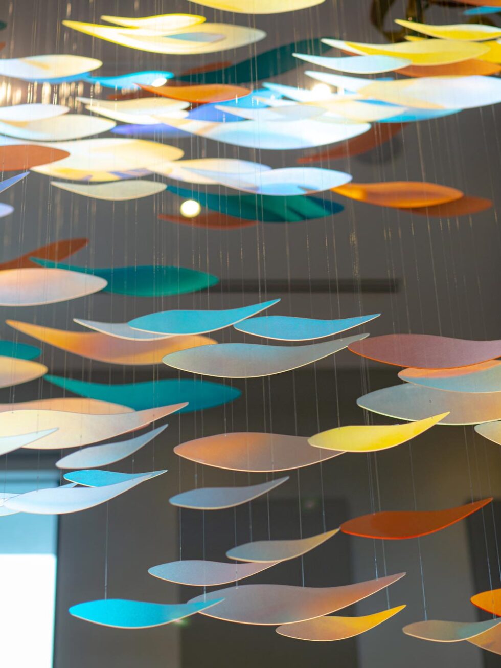 Suspended Fish Art Installation at Oceanic in Pompano Beach