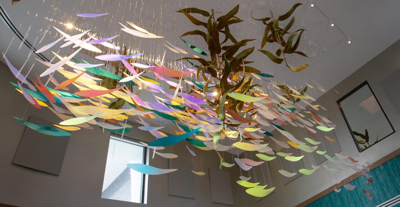 Suspended Fish Art Installation at Oceanic in Pompano Beach