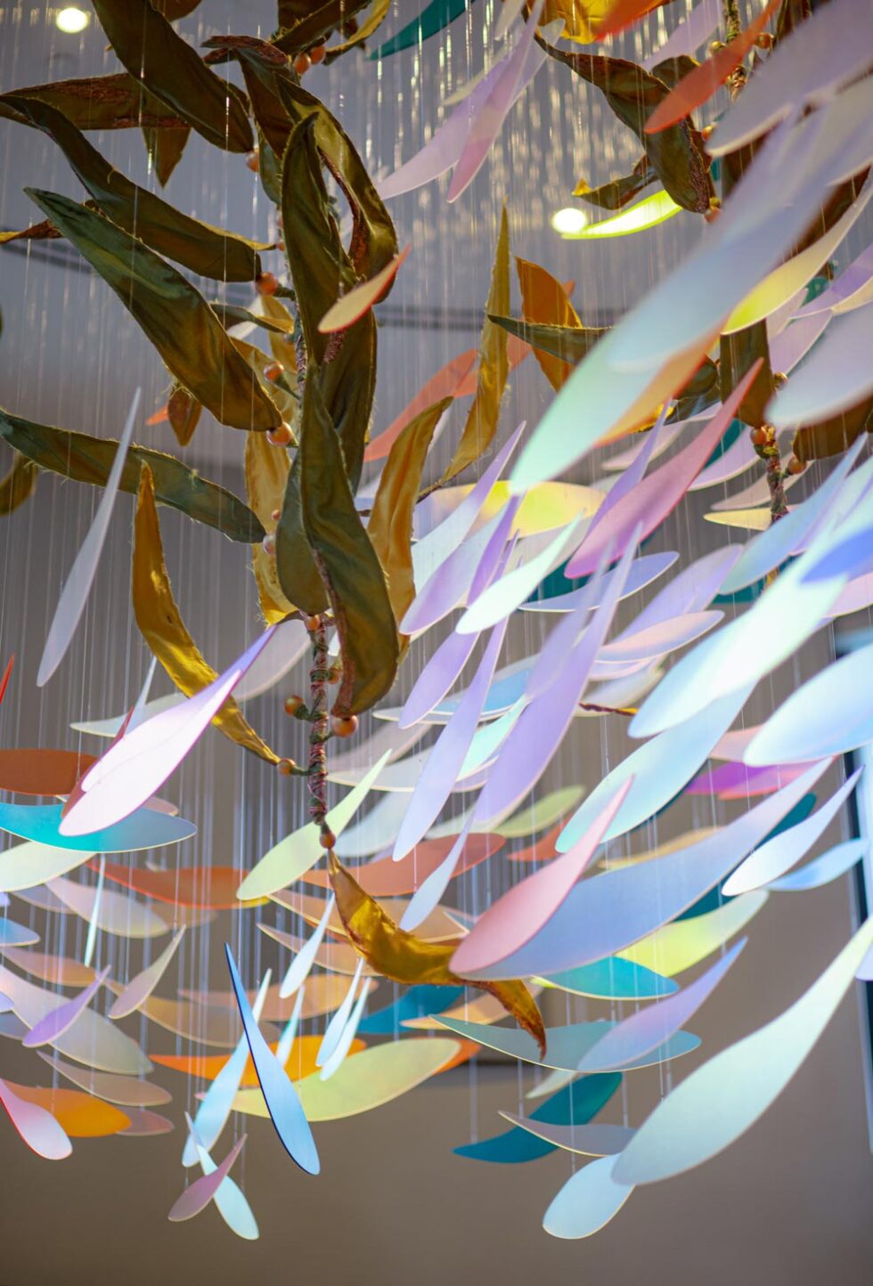 Suspended Fish Art Installation at Oceanic in Pompano Beach