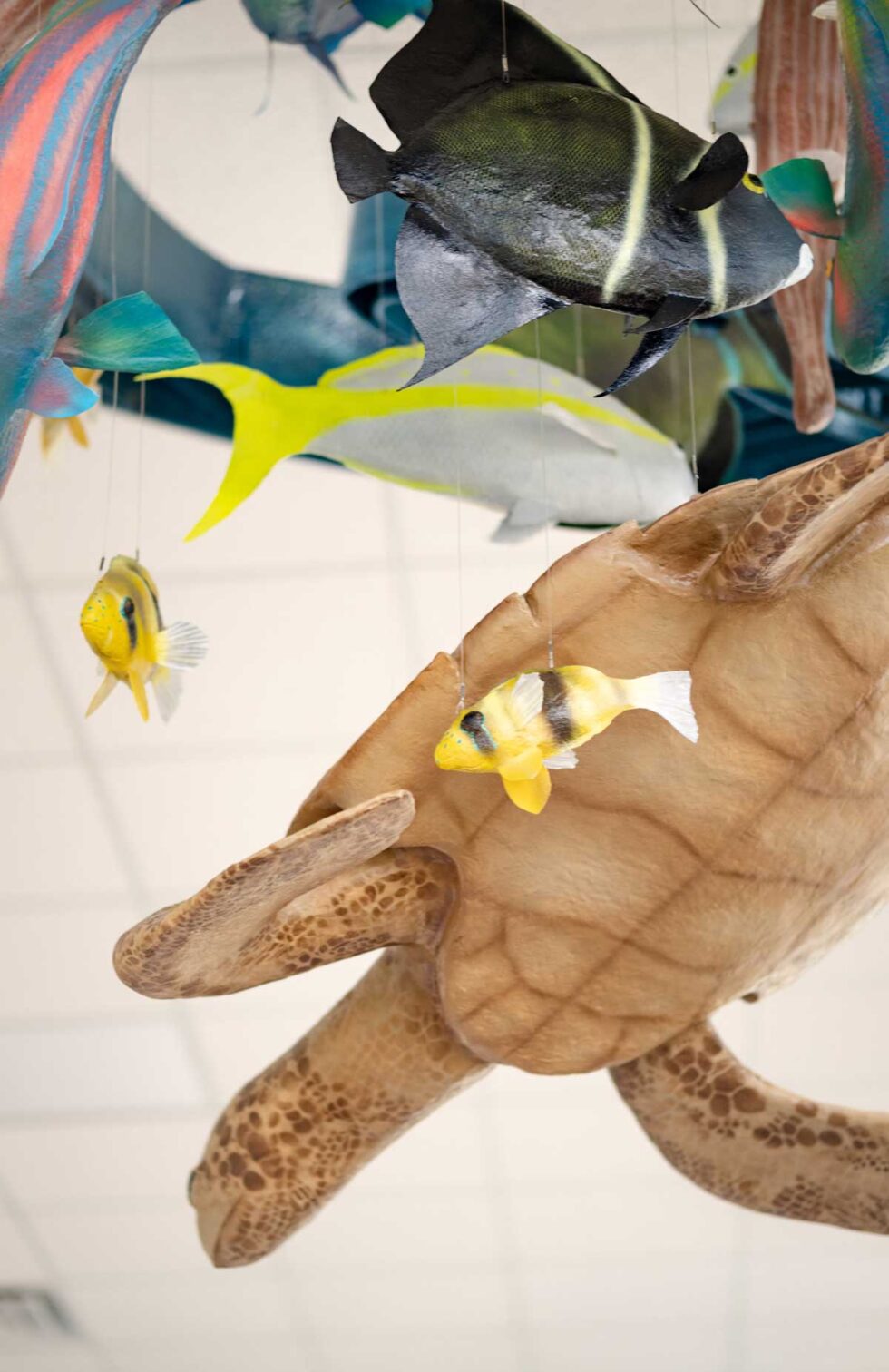 Reeference - A Marine Life Installation Art Piece at Lantana Public Library