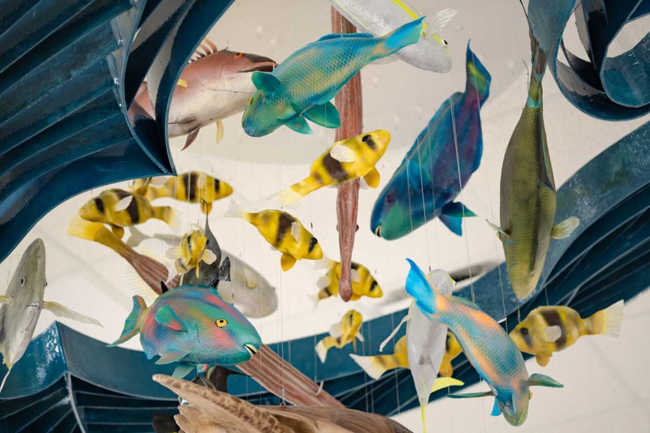 Reeference - A Marine Life Installation Art Piece at Lantana Public Library